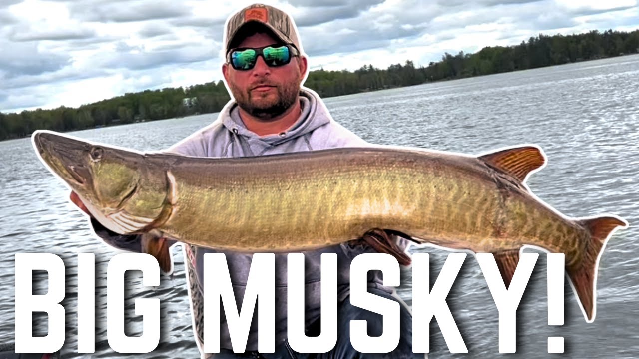 Epic Musky Strike – Northern Wisconsin Musky Opener 2025 - YouTube