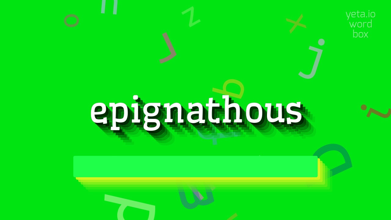 How to say "epignathous"! (High Quality Voices) - YouTube