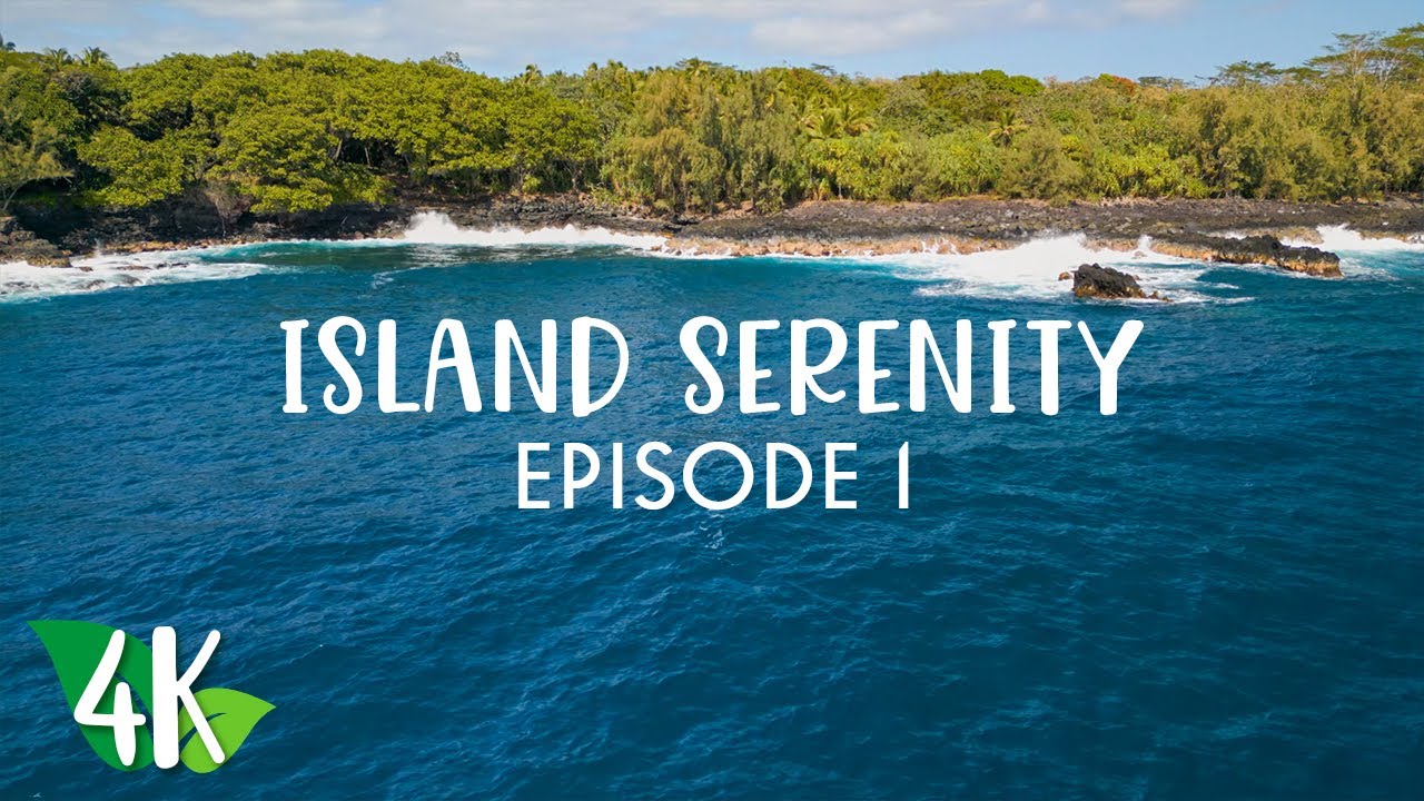 Serenity of a Tropical Island 4K - Calming Ocean Waves + Ambient Music ...