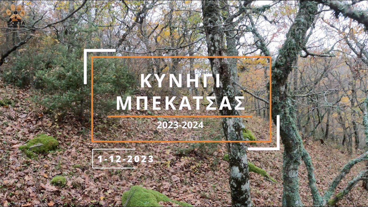 ΚΥΝΗΓΙ ΜΠΕΚΑΤΣΑΣ 1/12/2023 / Woodcock Hunting / Caccia alla Beccaccia ...