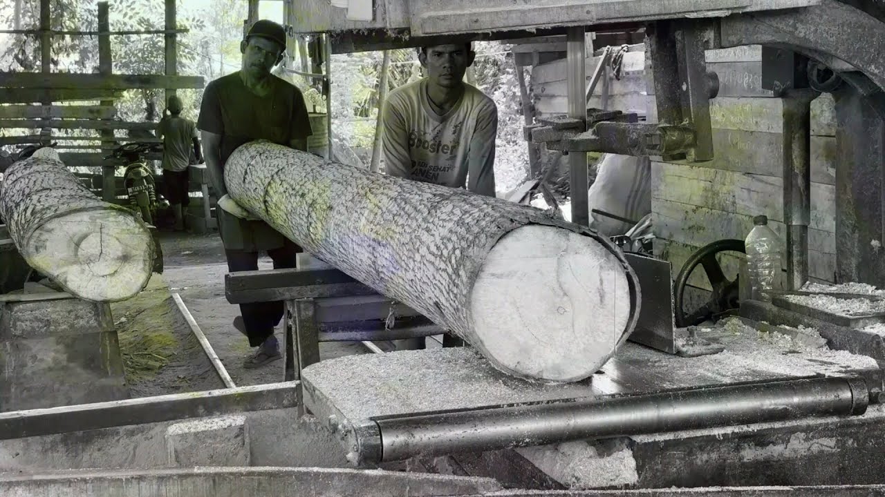Achieving Wood Sawing Net Cutting for DIY Home Projects - YouTube