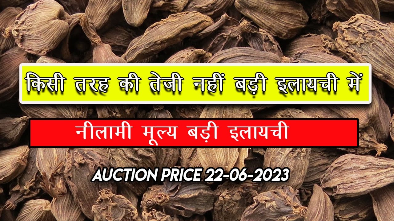 black cardamom price siliguri | large cardamom price sikkim - YouTube