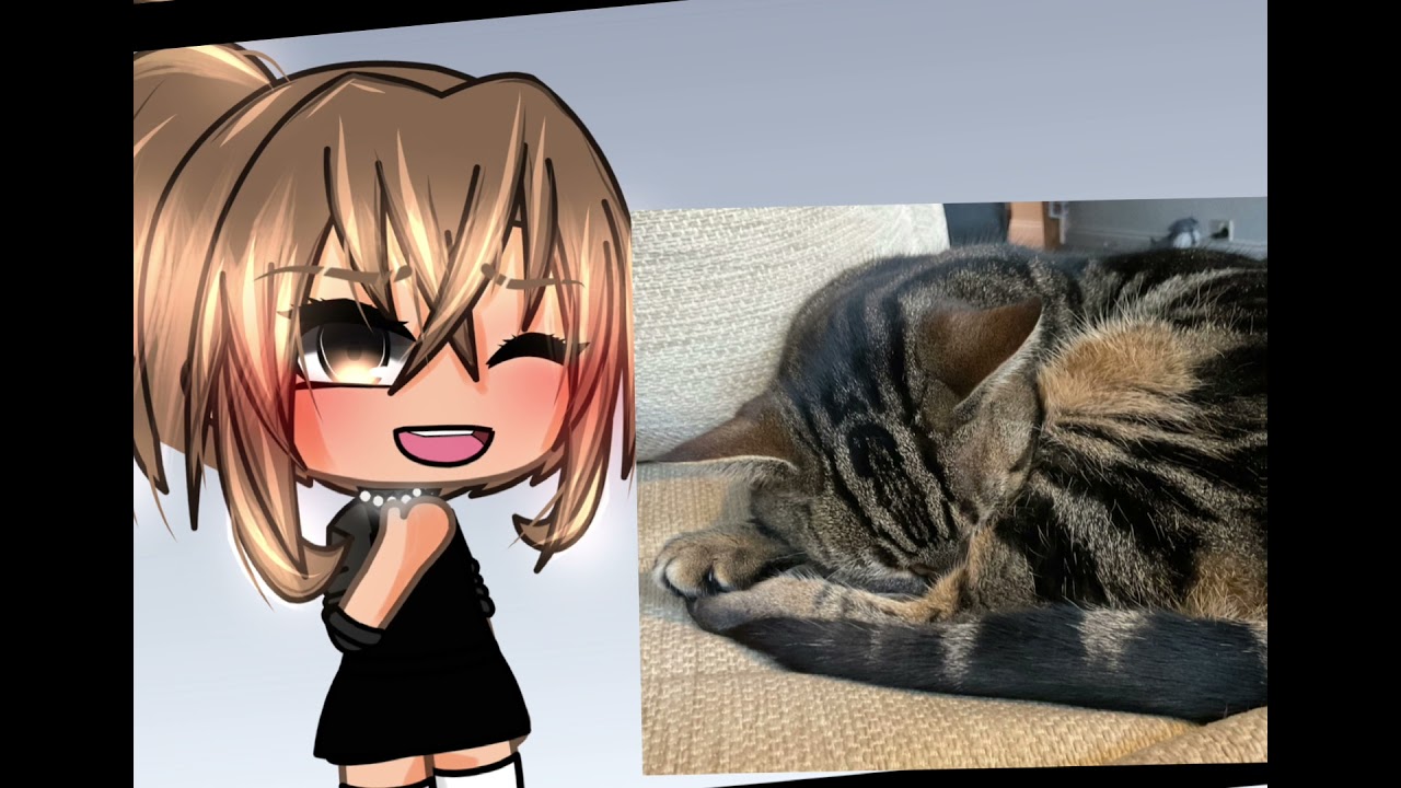 💕 I picked my poison and it’s you~ 💕 || GachaLife || yesh, dats meh cat ...