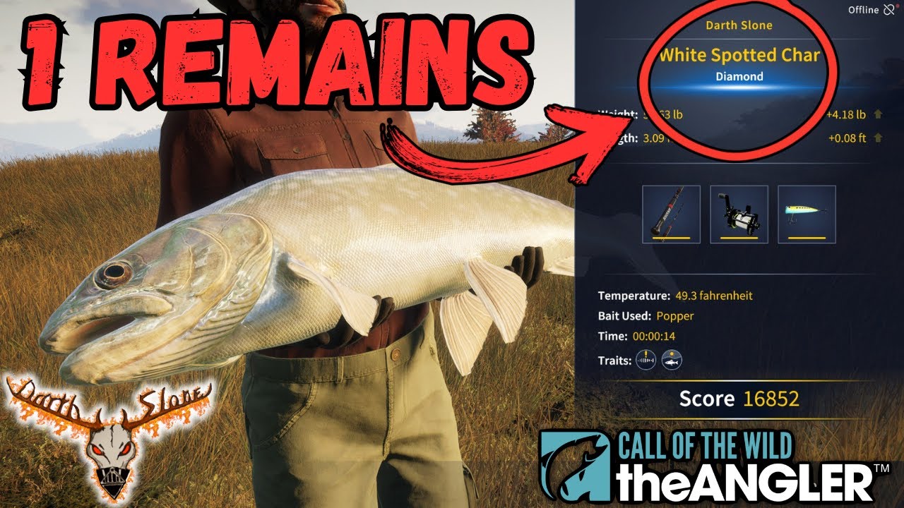 Get Your Diamond White Spotted Char By Doing This! -the Angler - YouTube