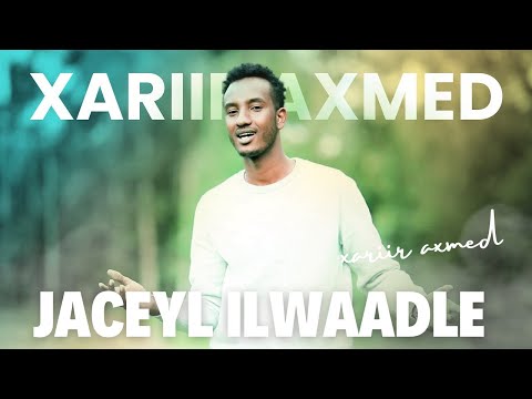 Xariir  Heesta Jacayl Ilwaadle 2015