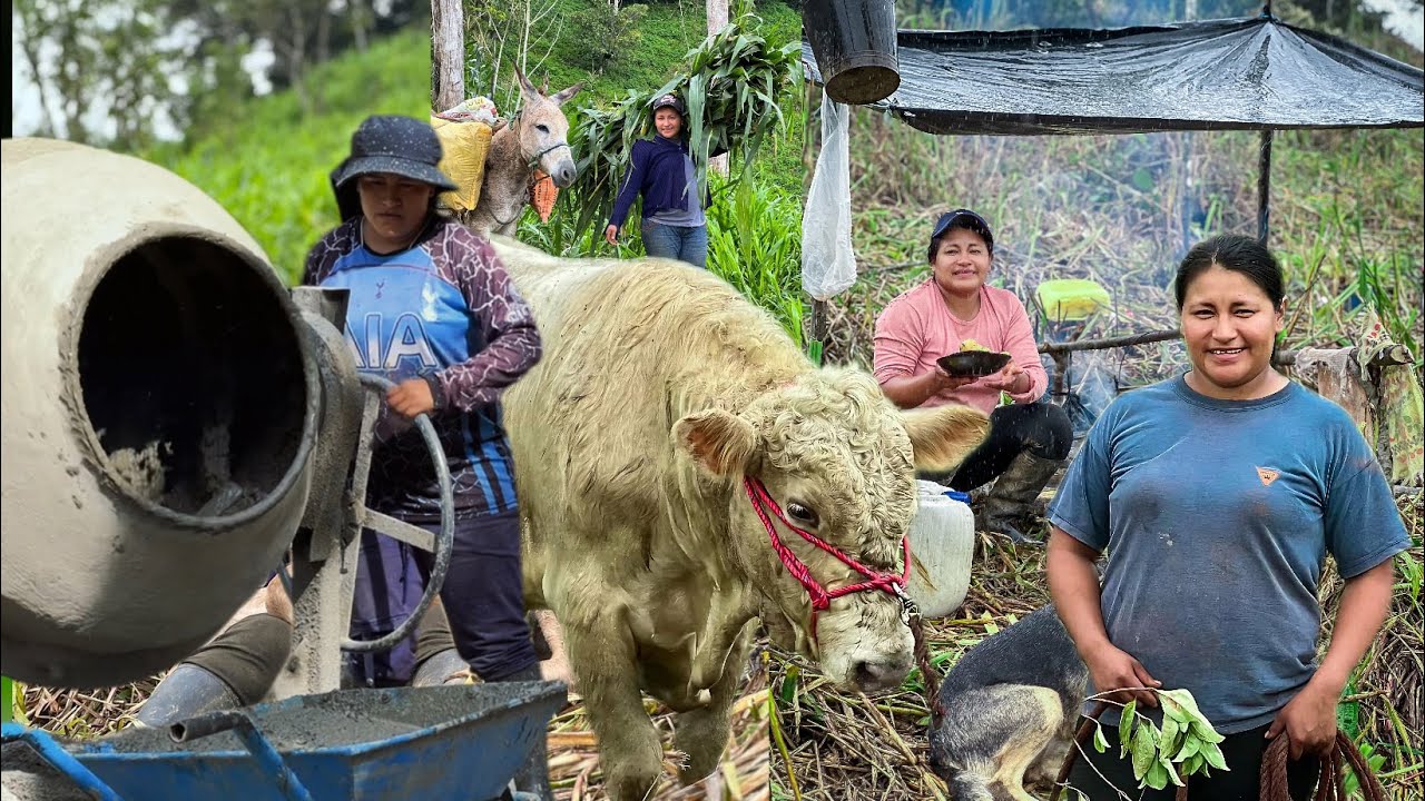 Así es la VIDA en el CAMPO de la mujer AMAZONICA ECUATORIANA | Erika ...