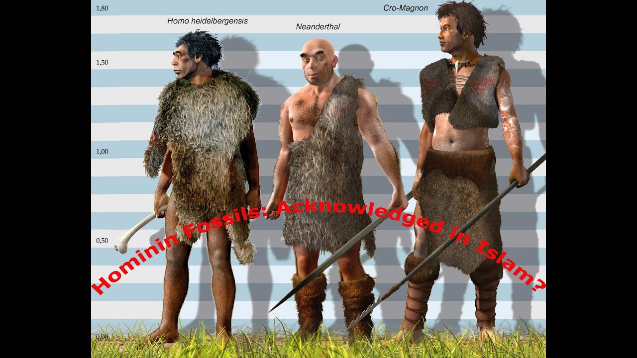 Anatomically Modern Human Forms | 2nd of 4-Videos | Hominin Fossils and ...