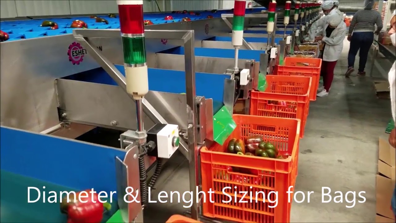 ESHET EILON - Combination Sizer II Peppers - YouTube