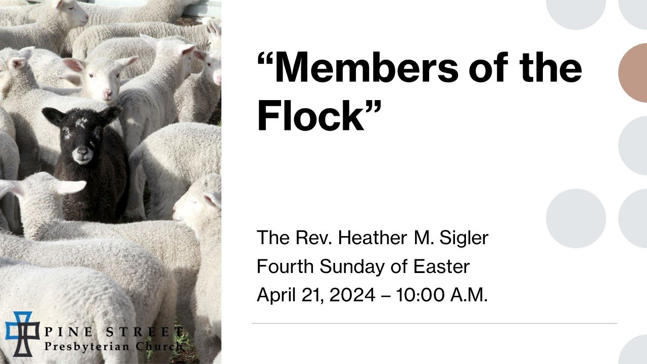 "Members of the Flock" - YouTube