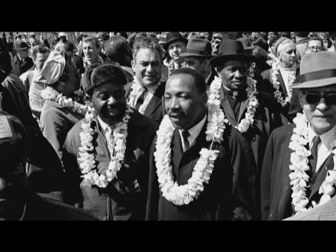A civil rights activist of the 1960s compares the protests today to the ...