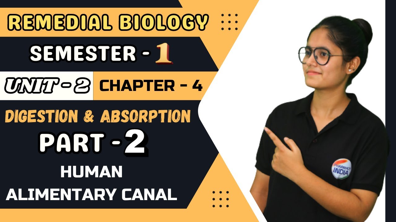 HUMAN ALIMENTARY CANAL | UNIT-2 |CH-4 |P-2 | SEMESTER-1 |Remedial ...