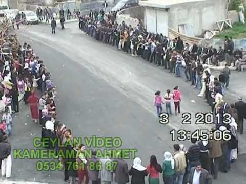 koma dicle fırat mersin kurdali mah