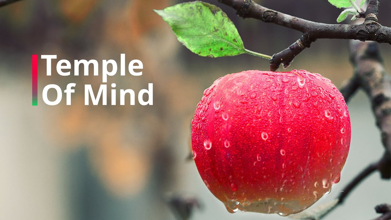 Musique de reiki, musique relaxante pour apaiser l'esprit, relaxing ...