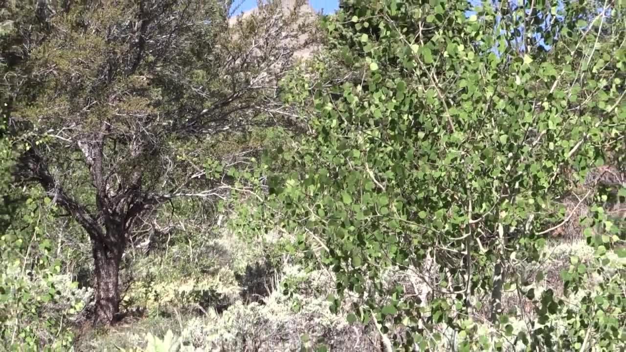 High elevation lakes prepped for native trout at Great Basin National ...