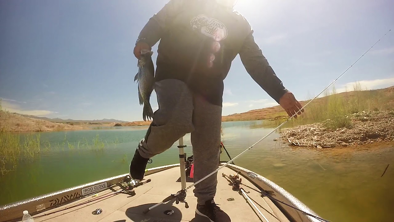 overton arm!! crappie and bass - YouTube