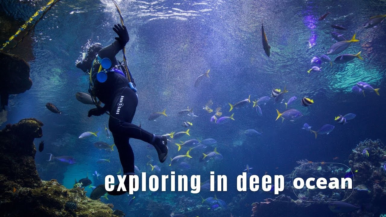 Amazing Underwater Marine Life Documentary .Ocean Life and Nature with ...