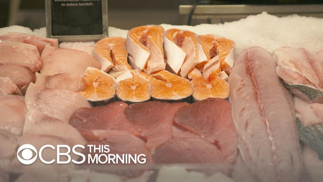 Fish fraud is rampant – and the government rarely tests it - YouTube