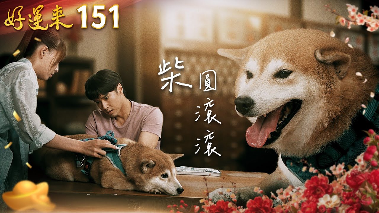 好運來 EP151 柴圓滾滾｜Everybody Needs Good Luck - YouTube