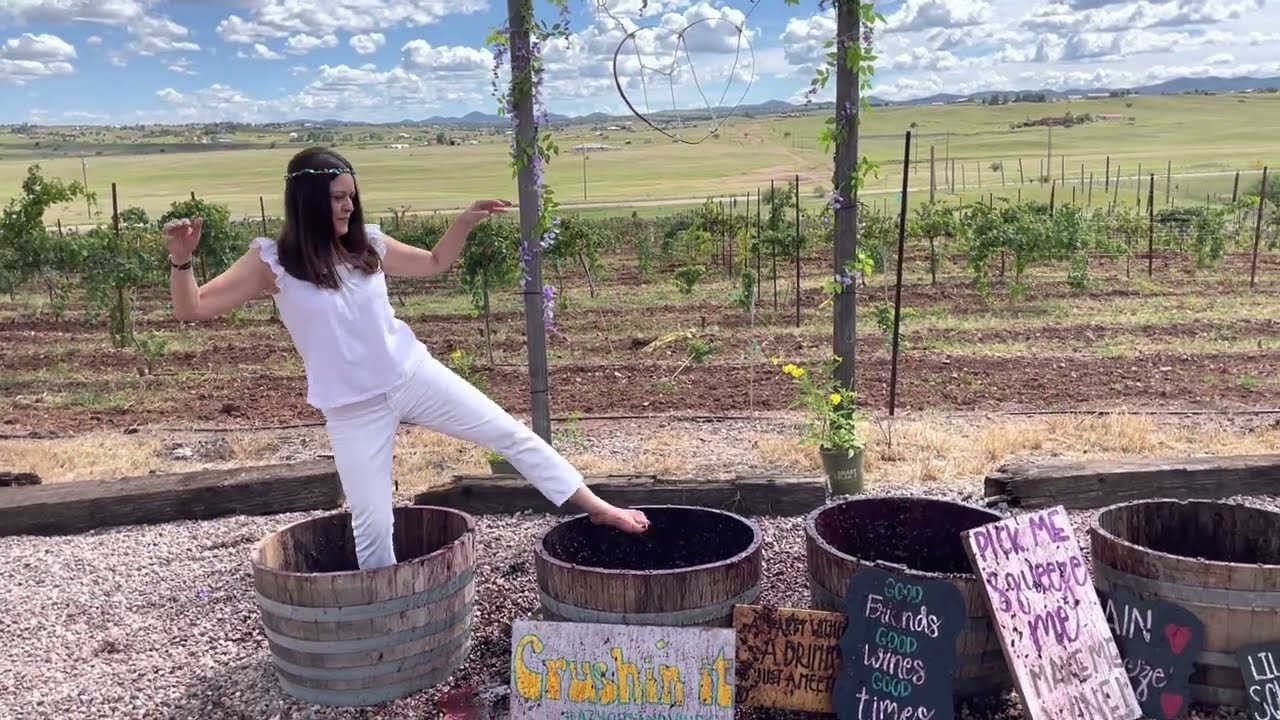Road Trip with Rach: Fun 21 Second Grape Stomping Demo At AZ Hops ...