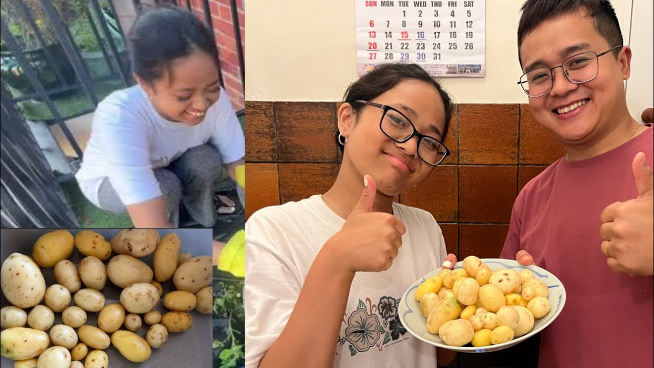 Pot 4 vel ah Aloo ( Potato) an lo awm.A tui tawp ani e.. - YouTube