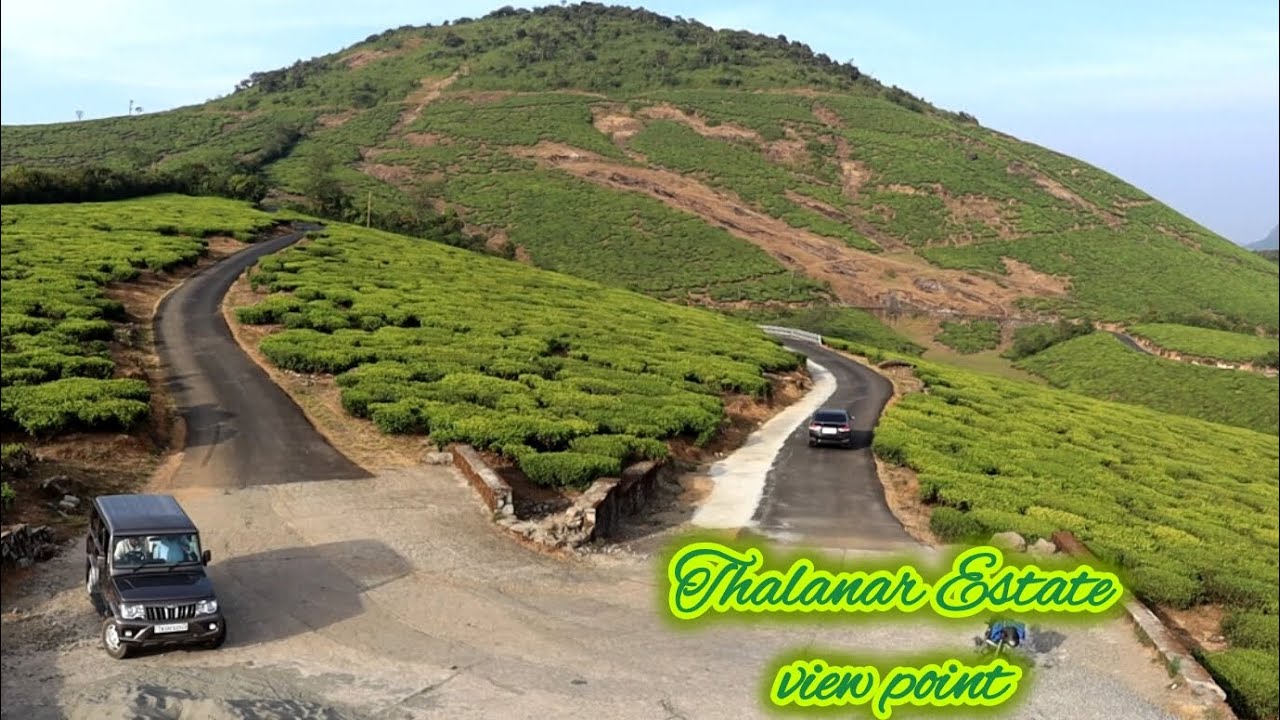 Thalanar Estate view point - YouTube