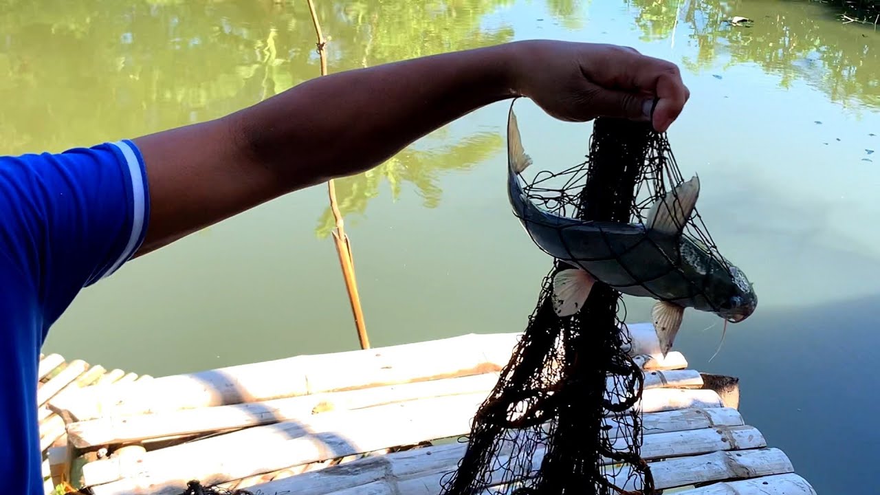 KANDULI (MANILA SEA CATFISH) NAHULI NI TATAY! MAY KASAMA PANG GLORIA AT ...