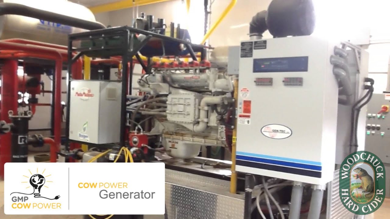 Woodchuck visits Monument Dairy's Green Mountain Power "Cow Power ...