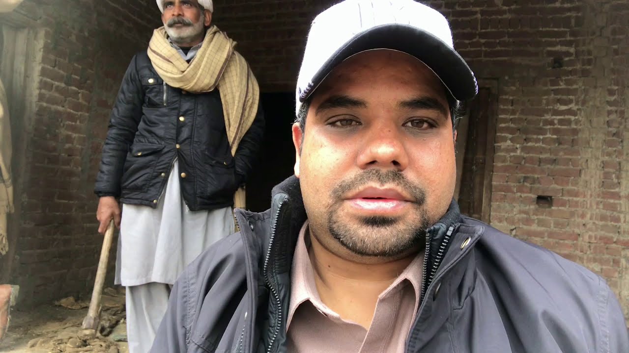 What did we do today آج ہم نے کی درختوں کی کٹینگ - YouTube