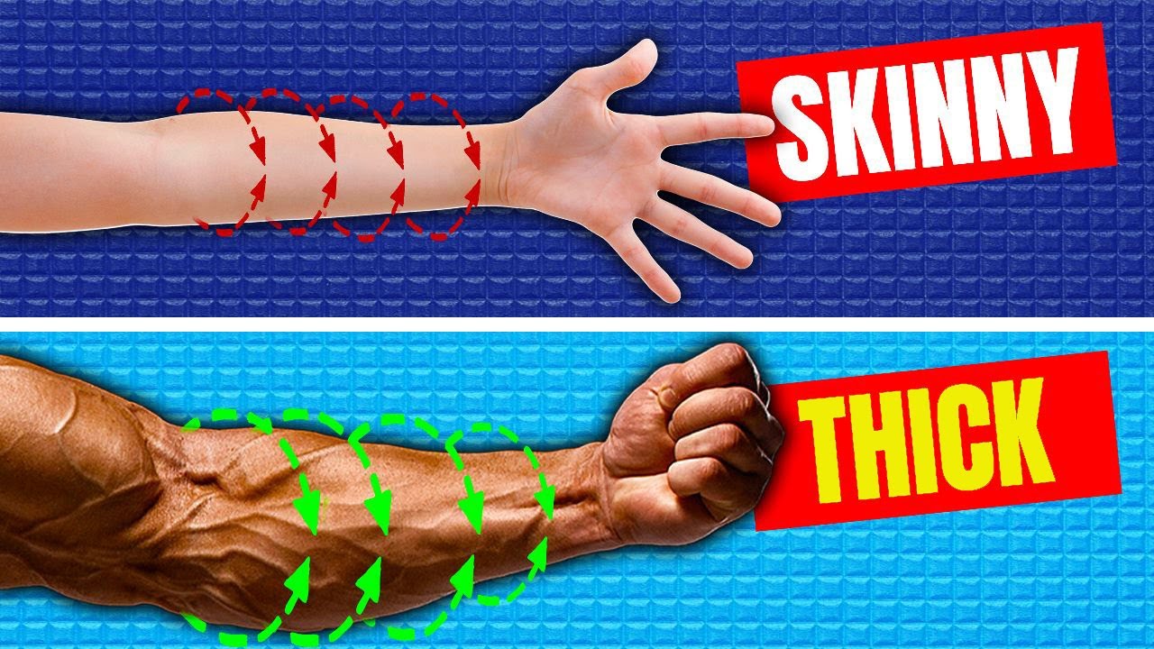 8 BEST Exercises for BIGGER Forearms - YouTube