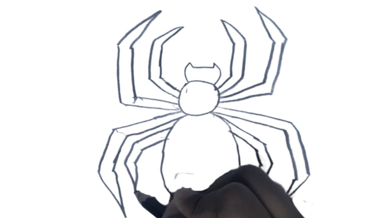 How to Draw a Spider | Easy Step By Step Drawing - YouTube