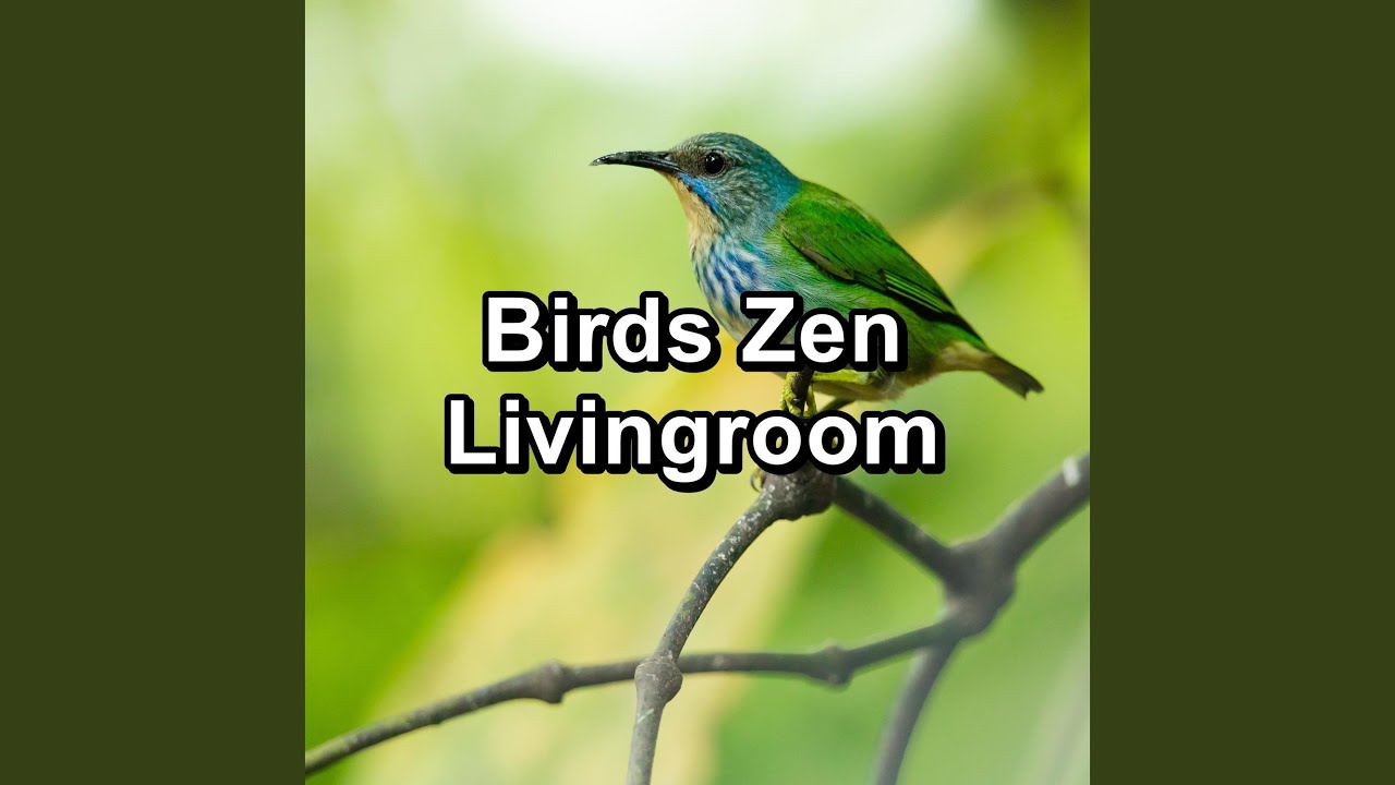 Rest Bird Sounds Natural Sounds To Repeat the Whole Night - YouTube