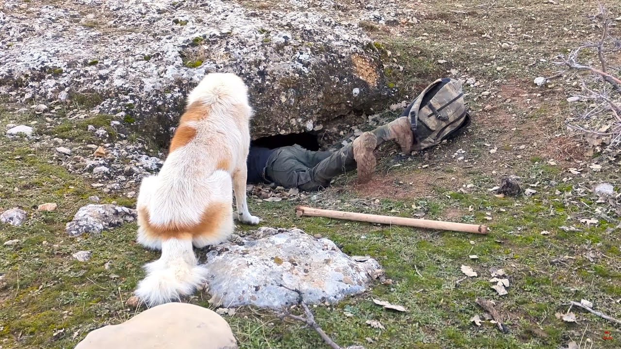 I Turned an Old Cistern Into a Shelter With a Fireplace | Nature ...
