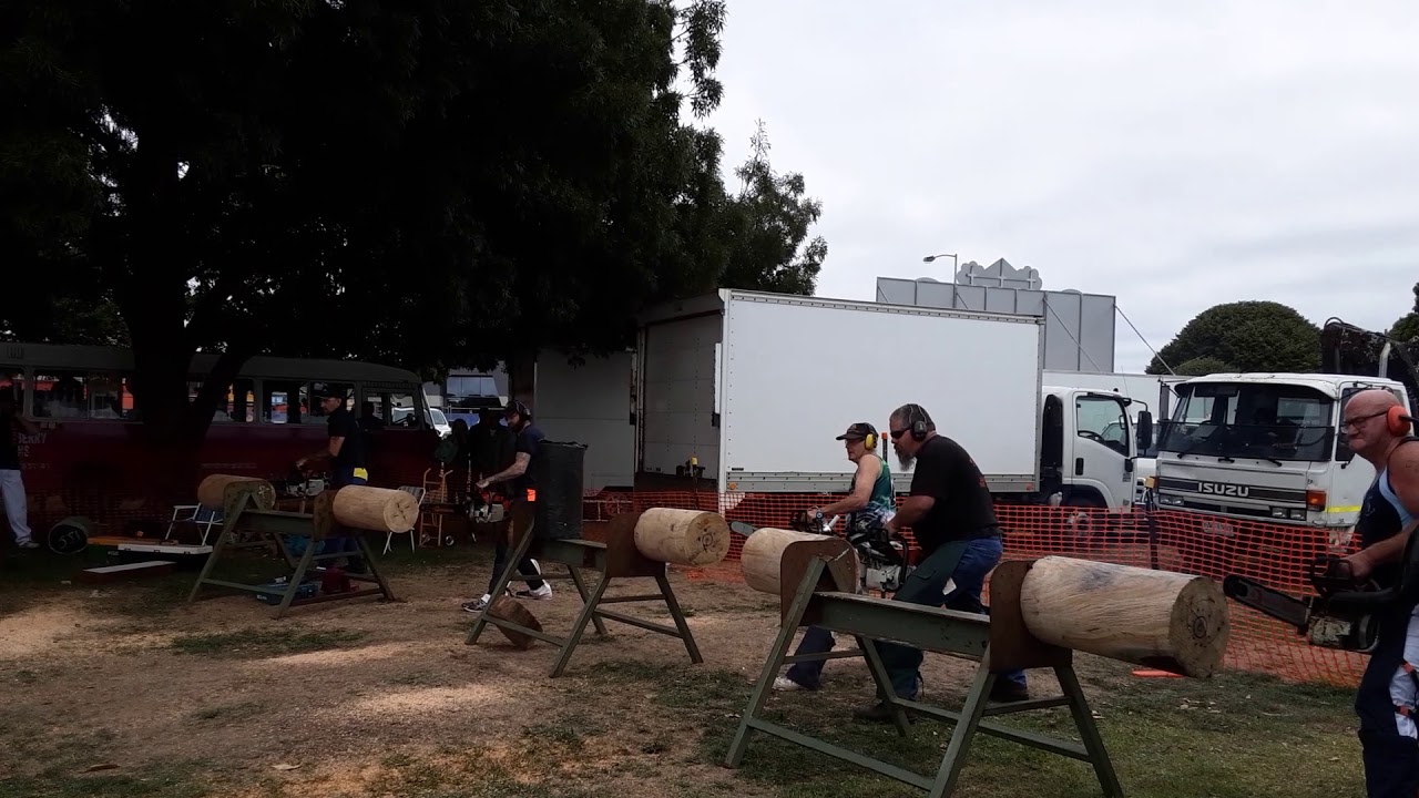 Chainsaw racing Devonport 2020 race 1 - YouTube