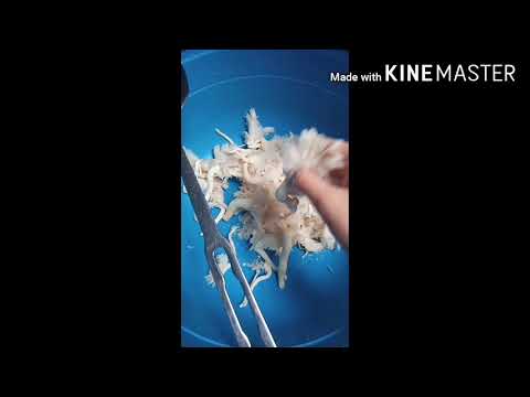 Widya Mayang Sari - 4AA- How To Make \