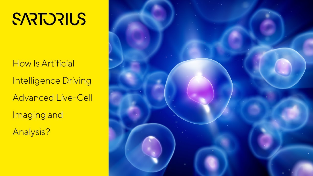 AI-Driven, Label-Free Quantification of Cell Viability in Live-Cell ...