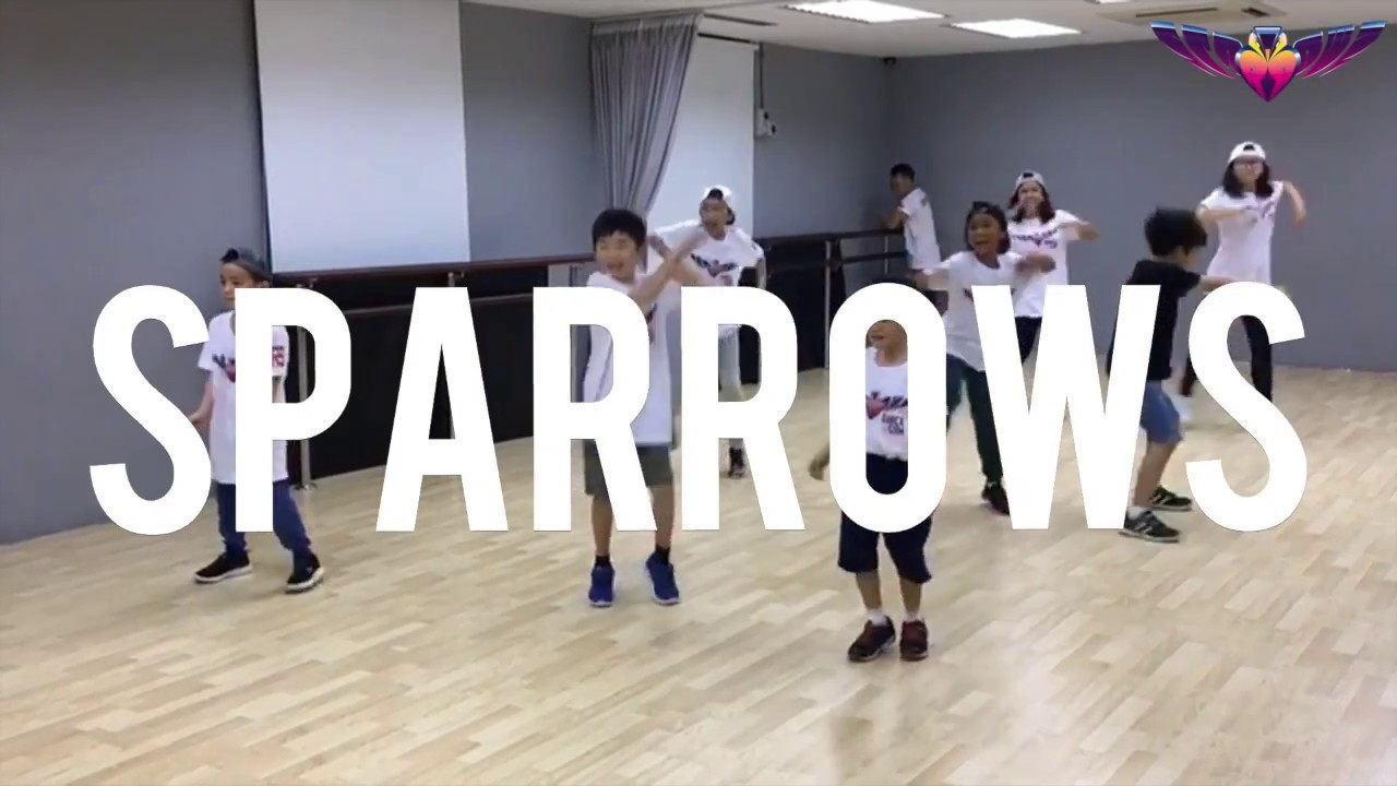SPARROWS DANCE GYM #005 - LEVEL 1 (4 February 2017) - YouTube