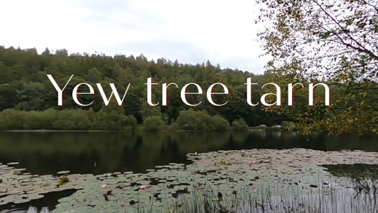 Yew Tree Tarn (The National Trust) - YouTube