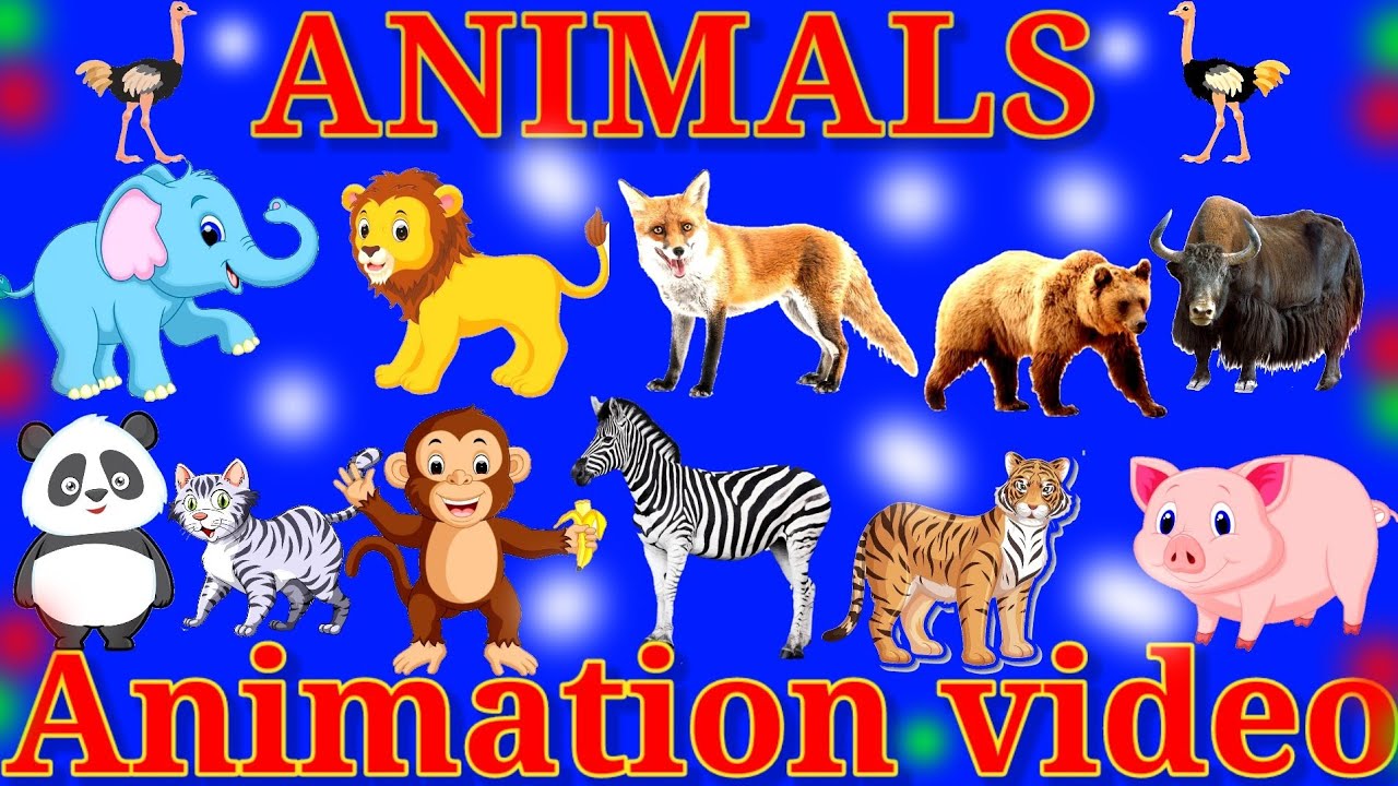 animals animation || animal running || - YouTube