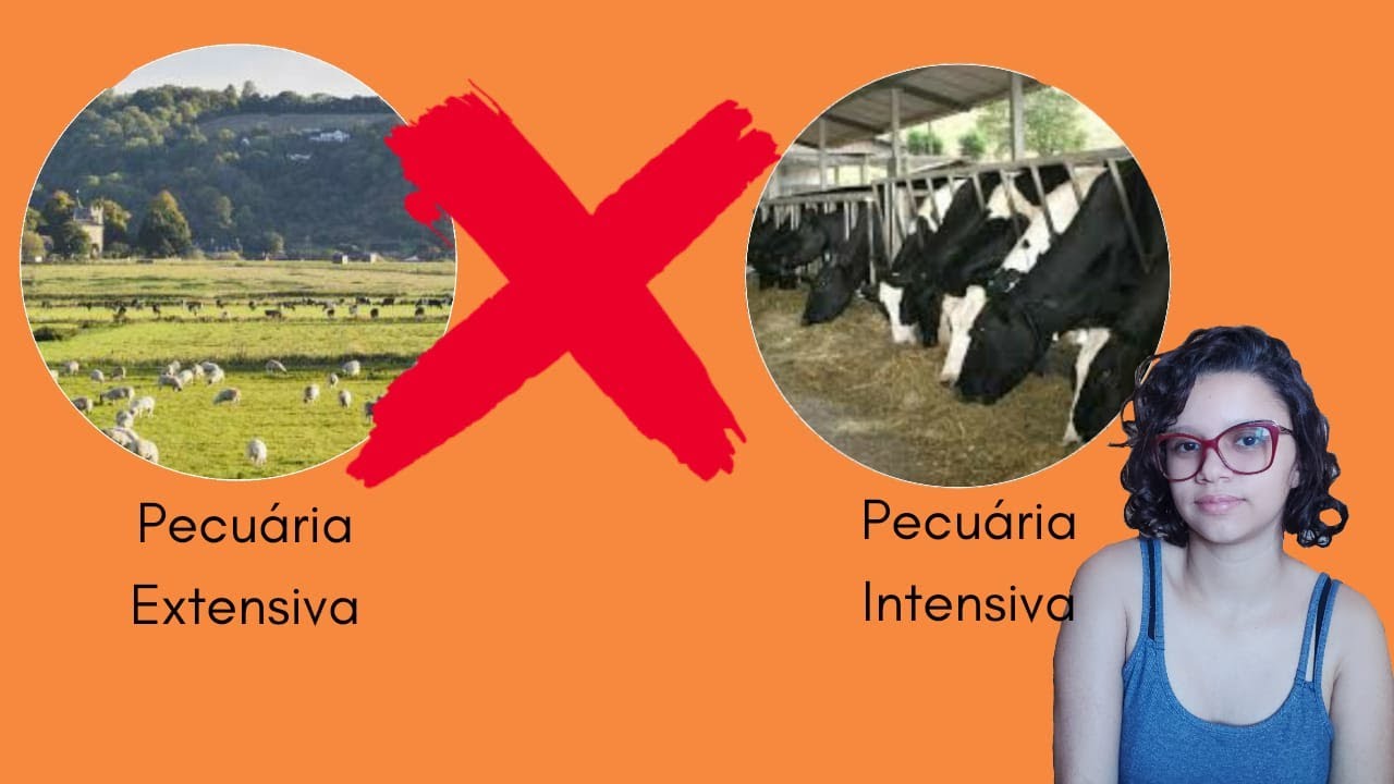 Pecuária Extensiva e Pecuária Intensiva | Geografia - Samara Diniz ...