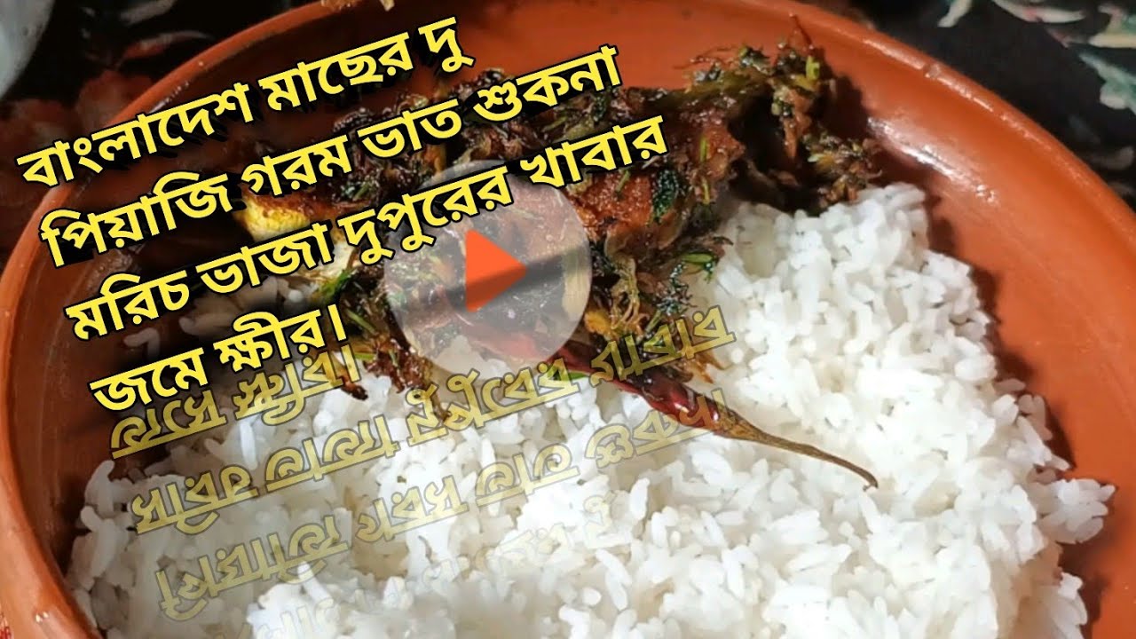 PANGAS Fish Dry Curry-40KG Big pangas Fish fri ।। with Dri chele and ...