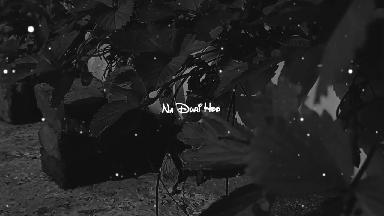Old 90s Song Status Song Lyrics Status Nature Status WhatsApp old-90s-song-status-song-lyrics-status-nature-status-whatsapp