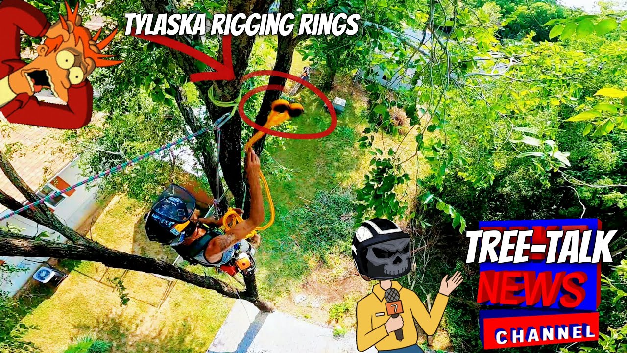 TREE-TALK (episode 16) / Product Review, Tips And Tricks, This Week In ...