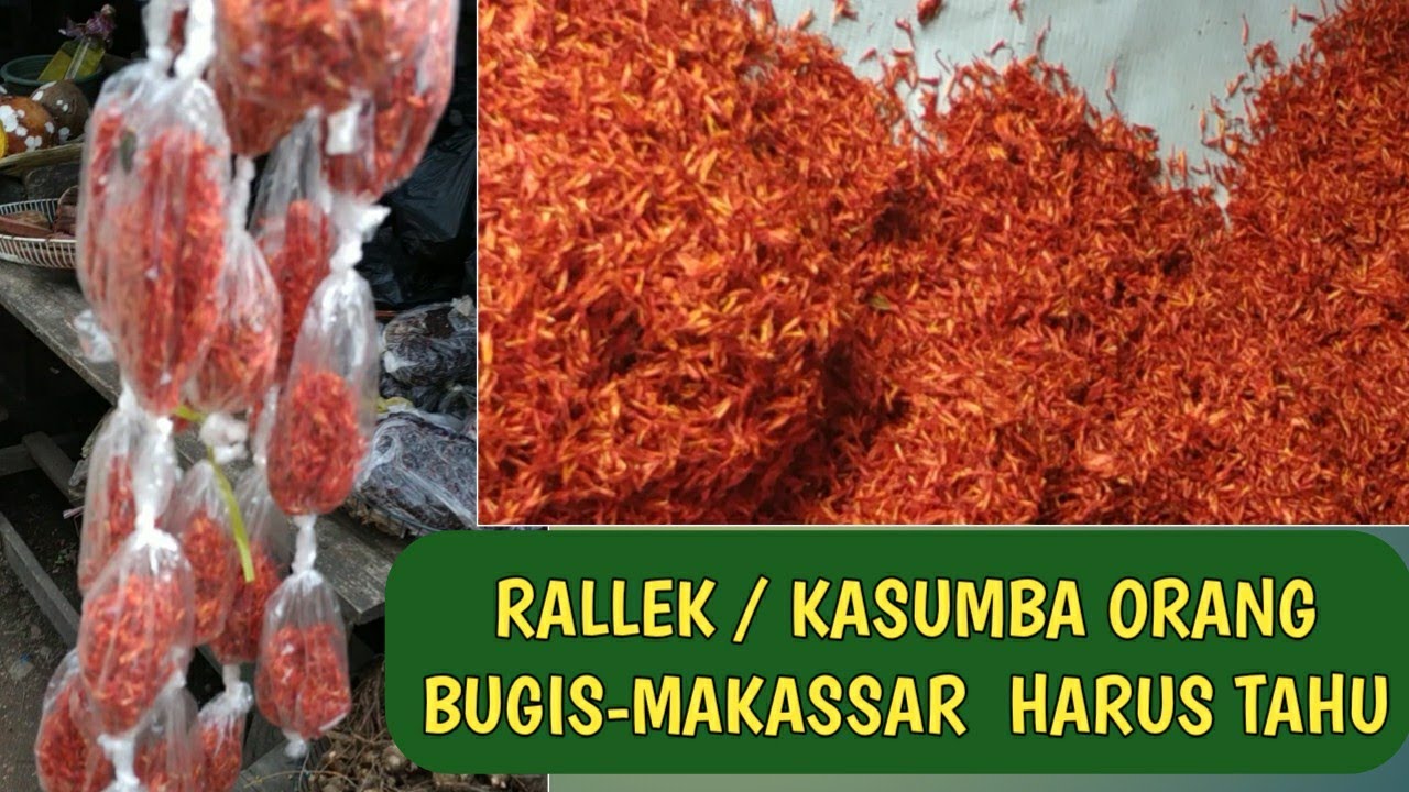 Rallek Tanaman Herbal Kuno Bugis, Obat Sarampa/Cacar Air Legendaris ...
