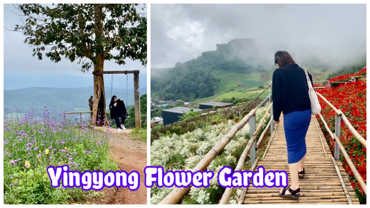 Yingyong flower garden- Mae Rim || Cuci mata dengan bunga di atas ...