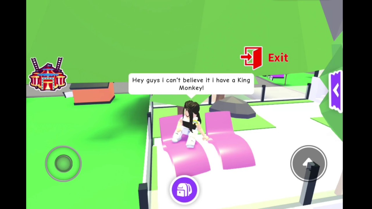 I HAVE A KING MONKEY skit (Joke) - YouTube