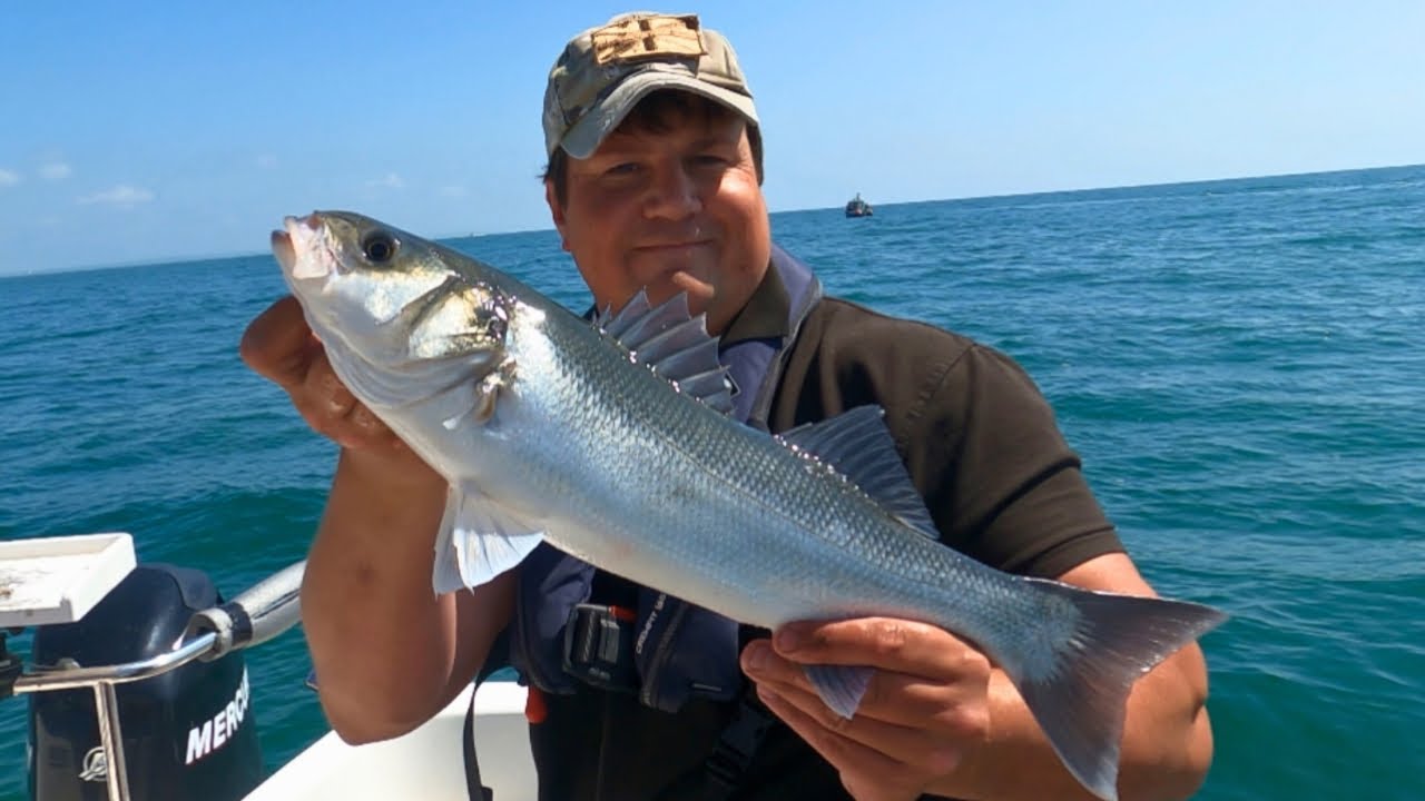 3 Fun Ways To Catch Bass Inshore On A Boat - A Guide - YouTube