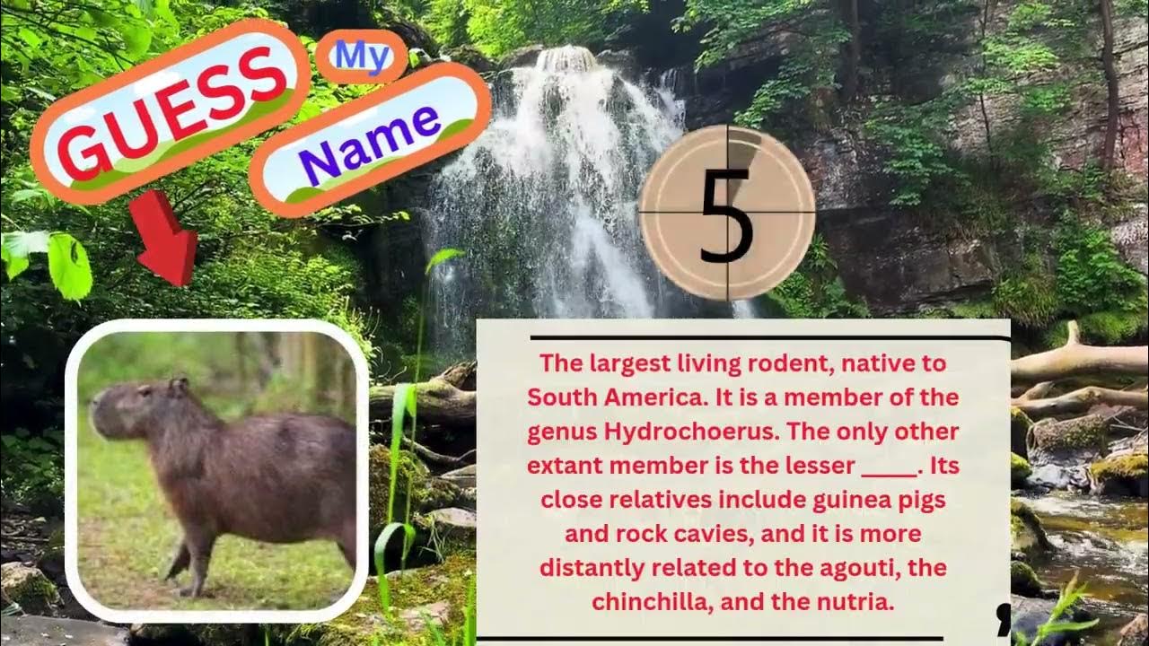 5. GUESS MY NAME. QUIZ - YouTube