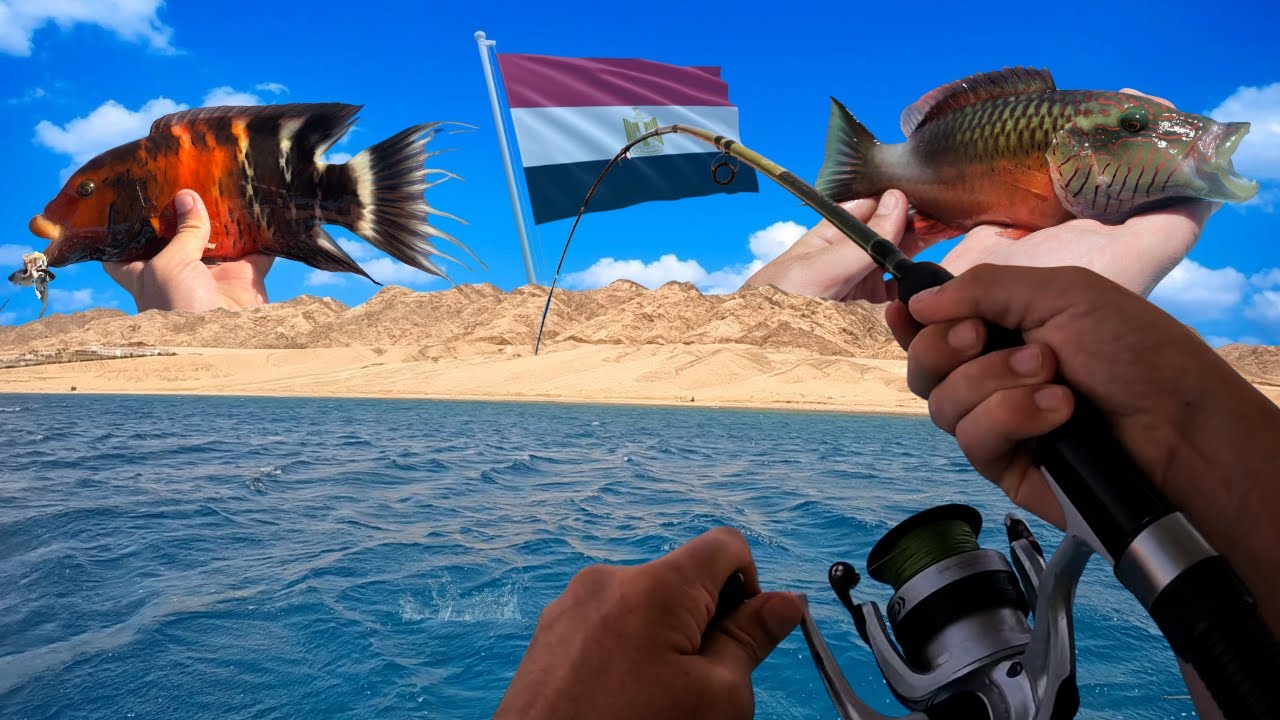 Multi-Species Fishing in the Desert of Egypt! - YouTube