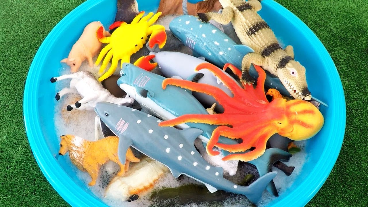 Learn Colors With Wild Animals and Sea Animal Crocodile, Octopus ...