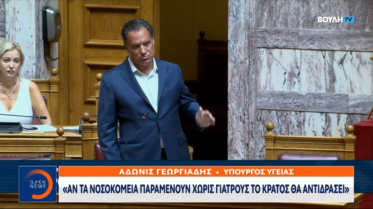 Άδωνις Γεωργιάδης: Αν τα νοσοκομεία παραμένουν χωρίς γιατρούς το κράτος ...